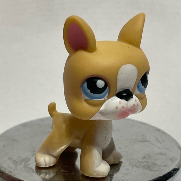 Littlest Pet Shop | Toys | Littlest Pet Shop Boston Terrier No Tan ...